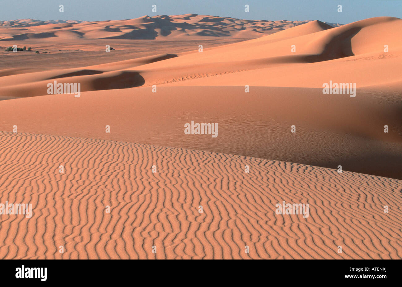 Sand Dunes / Sahara Stock Photo - Alamy