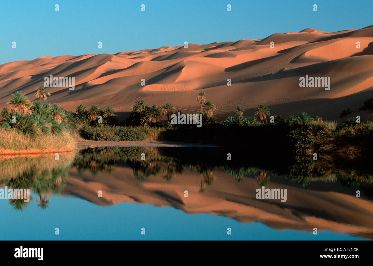 Um el ma oasis sand hi-res stock photography and images - Alamy