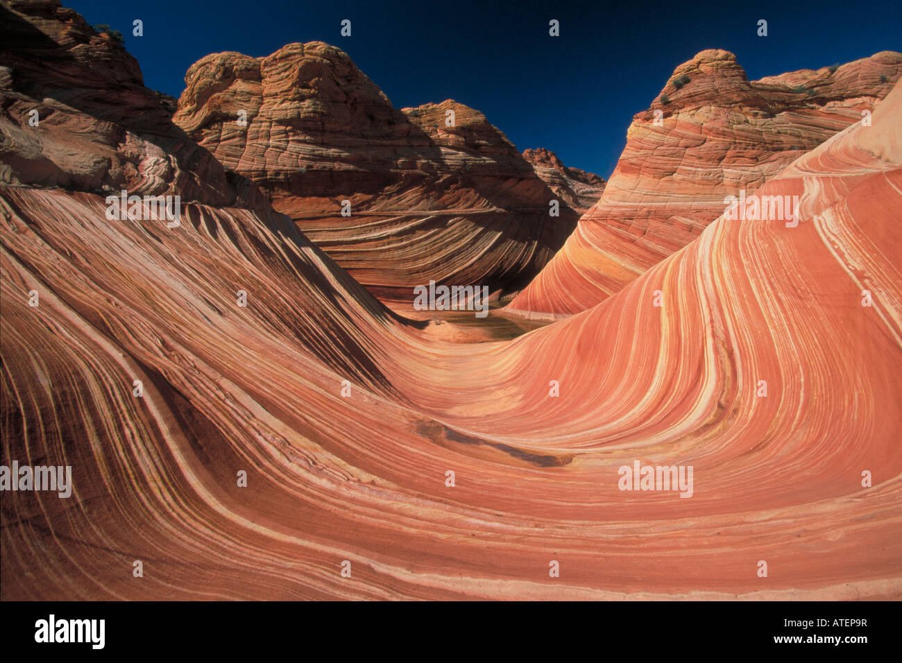 Sand Stone formations / The Wave Stock Photo - Alamy