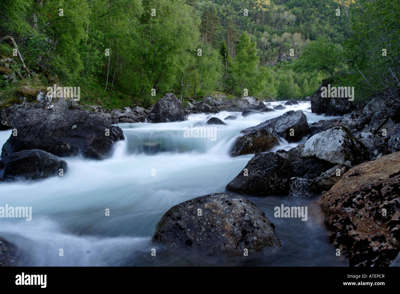 Impressive rapids in the evening light Stock Photo - Alamy