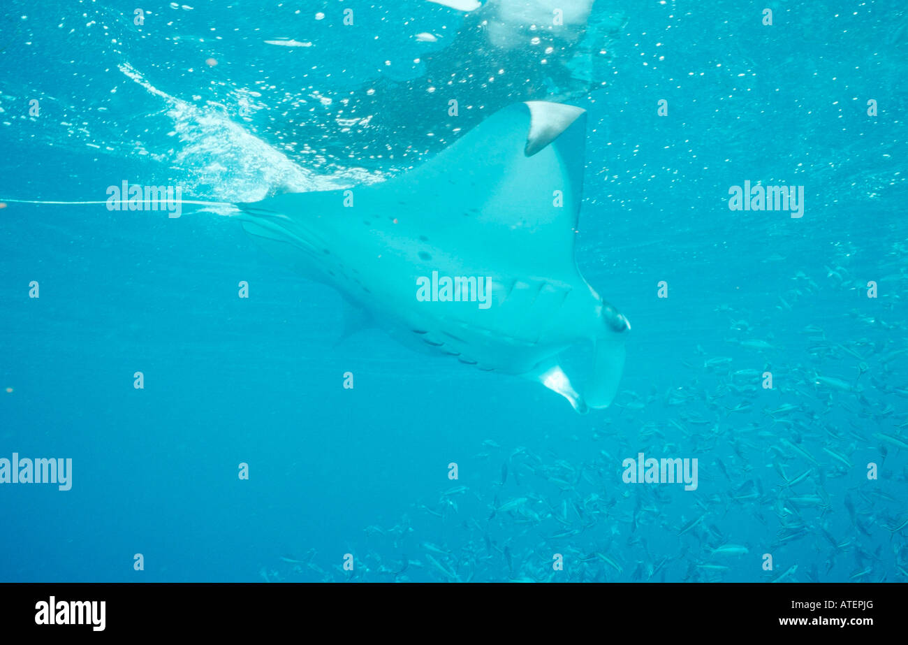 Röchen hi-res stock photography and images - Alamy