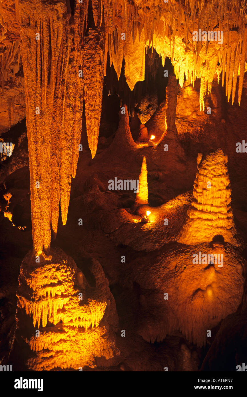 Natural formations growing from the rocks of the showcave of the Ngilgi ...