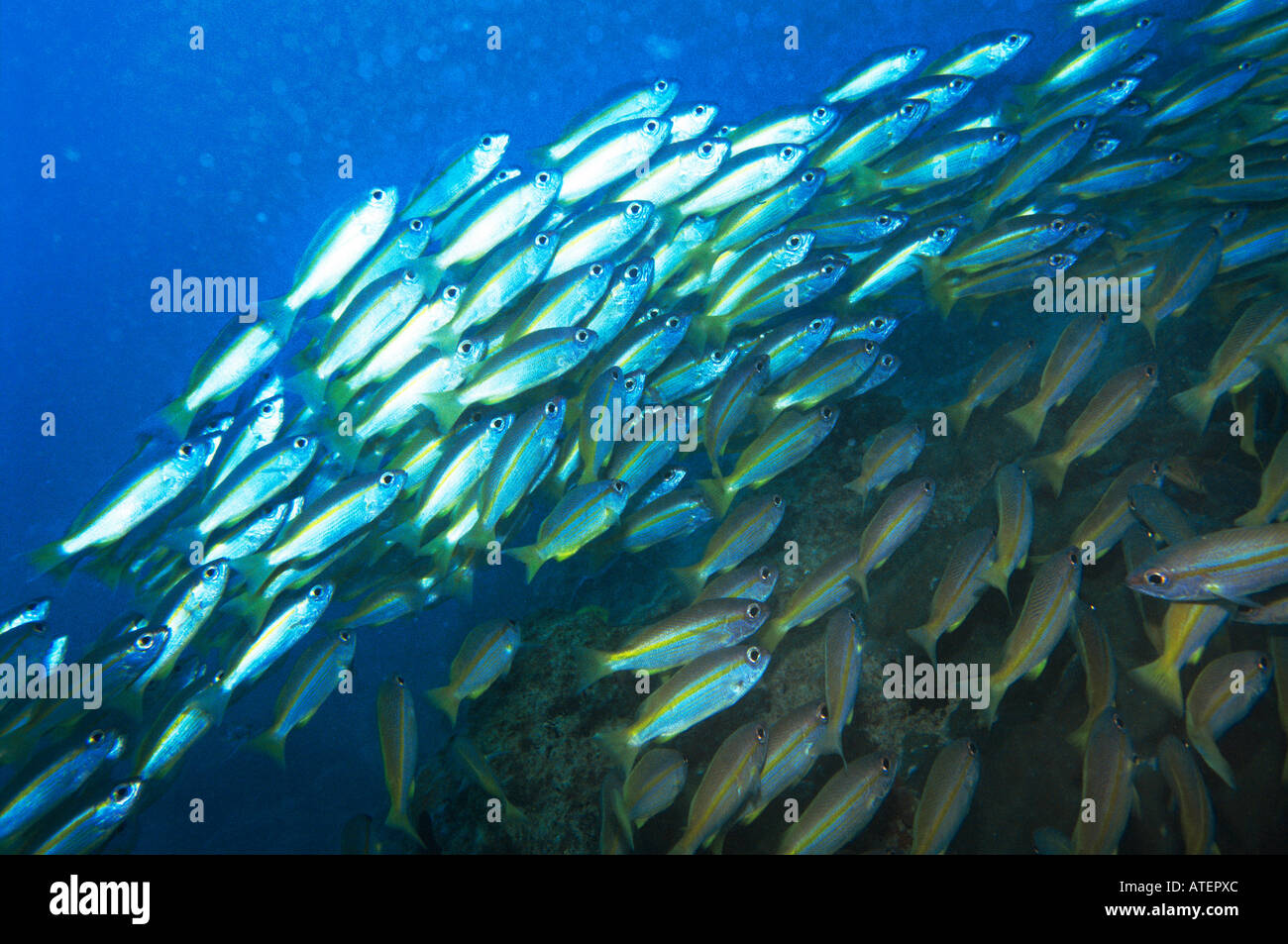 Muiron islands australia hi-res stock photography and images - Alamy