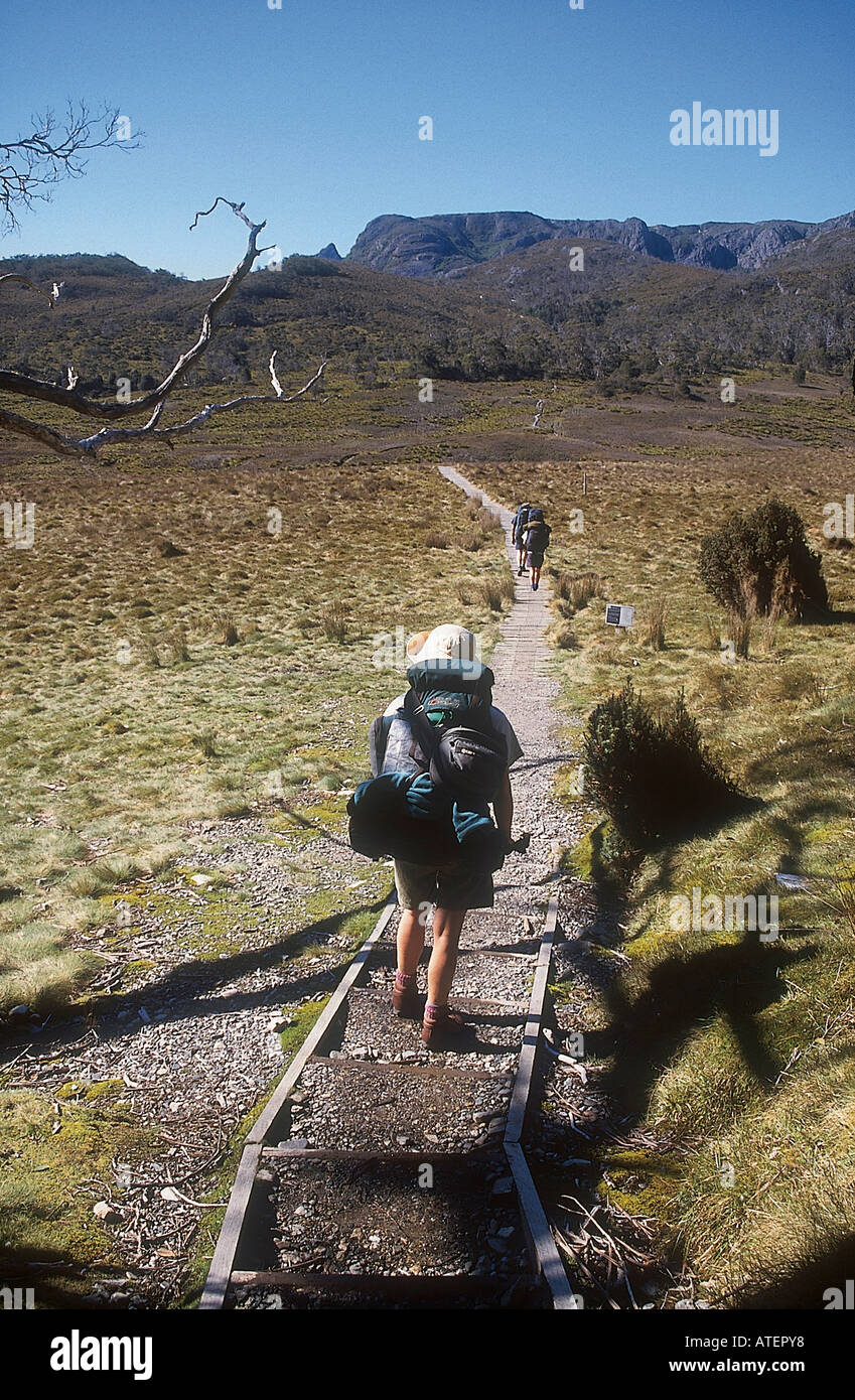 Start of Overland Track through bush Stock Photo - Alamy