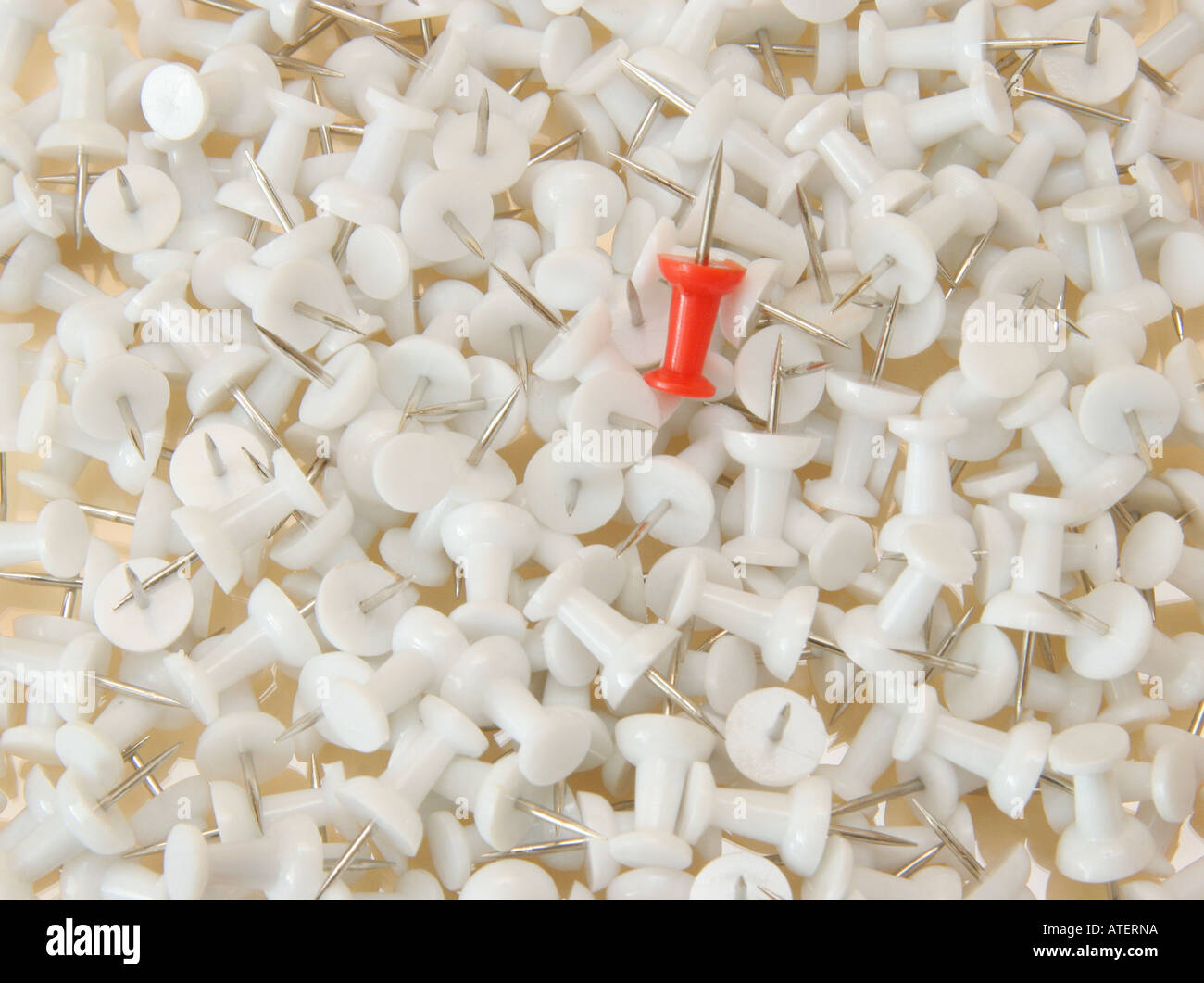 white memo pins one red Stock Photo - Alamy