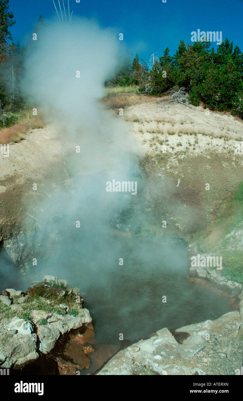 Sulphur Spring / Hot Spring / Heisse Quelle / Schwefelquelle Stock ...