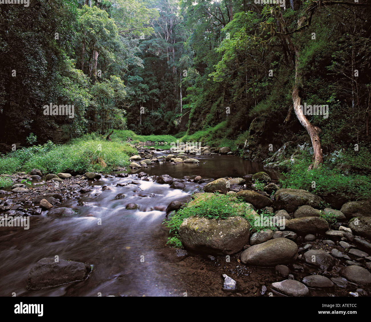 Canungra Creek Lamington National Park Queensland Australia Stock Photo ...