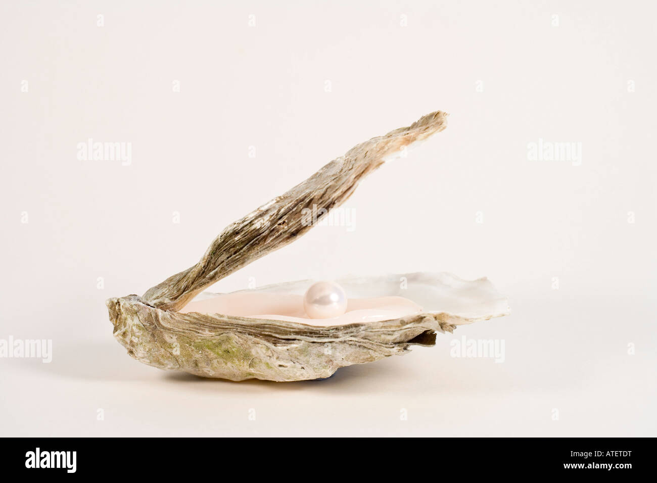 Pearl in open sea shell hi-res stock photography and images - Alamy