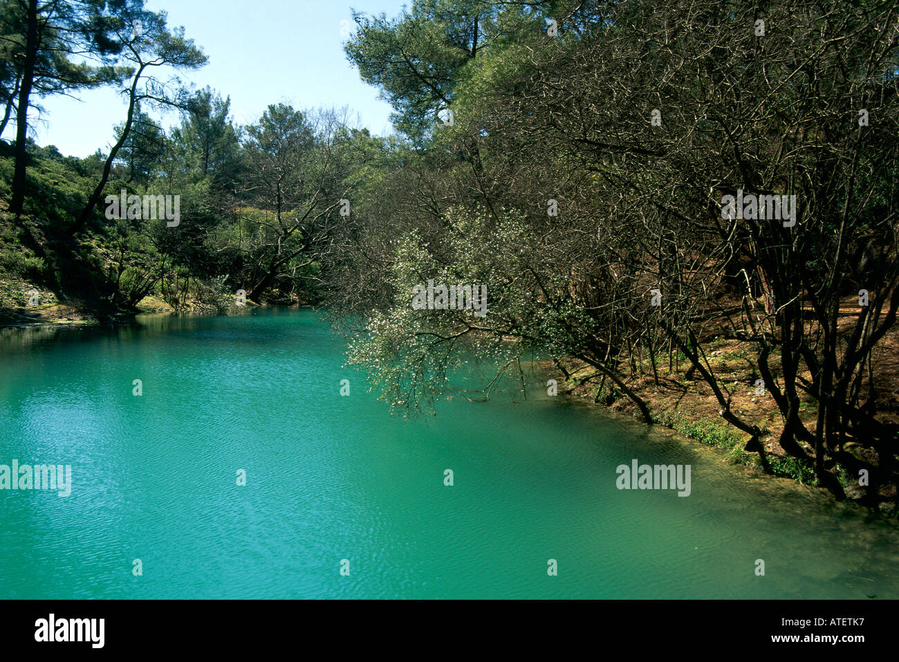 Epta piges hi-res stock photography and images - Alamy