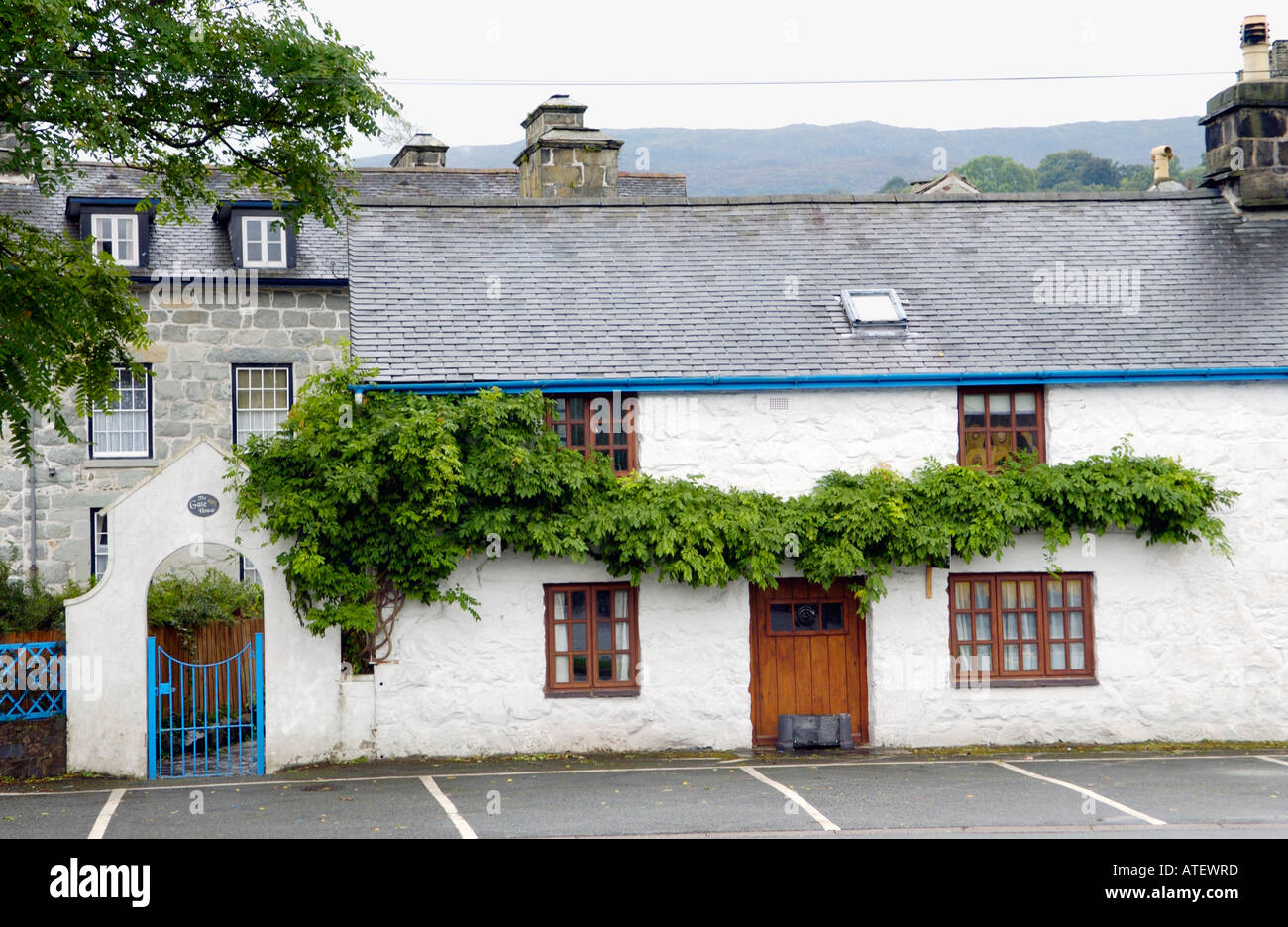 Traditional stone cottage with climber growing across the front in ...