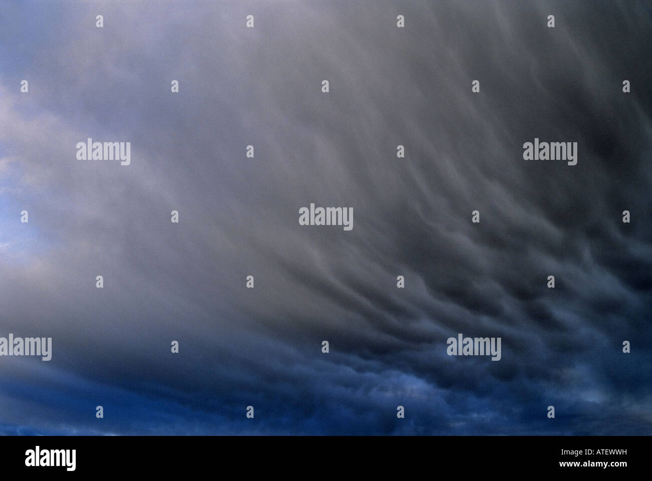 Apocalypse Hopi Blue Star