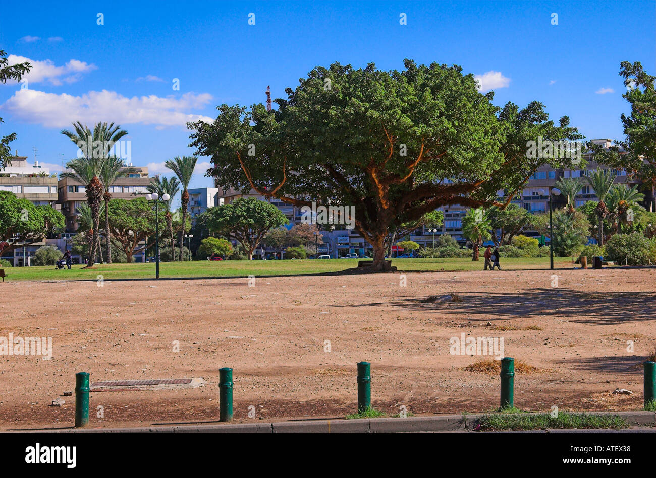 Kikar hamedina hi-res stock photography and images - Alamy