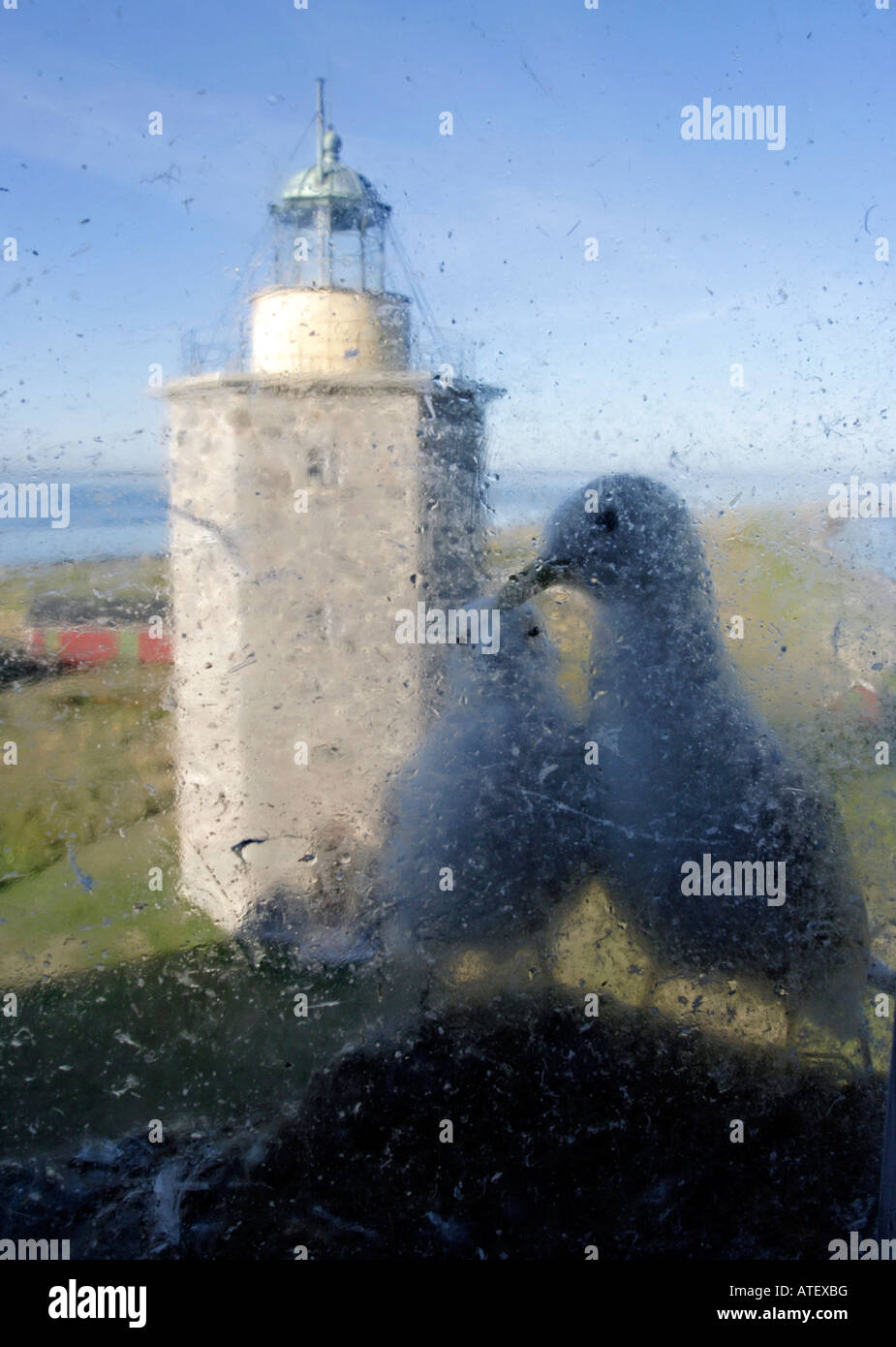 Birds eye view extensive hi-res stock photography and images - Alamy