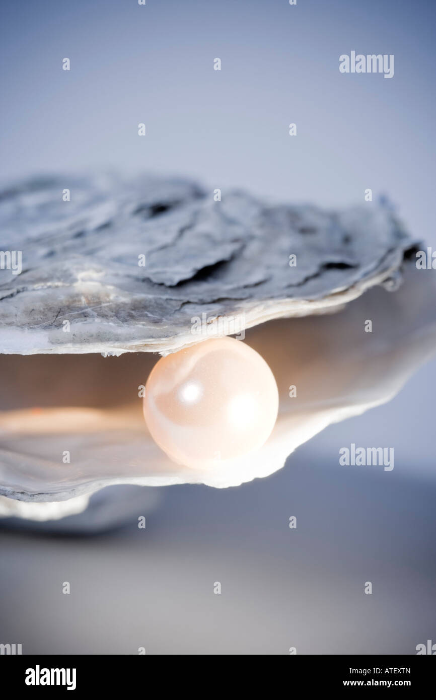 Pearl in shell hi-res stock photography and images - Alamy