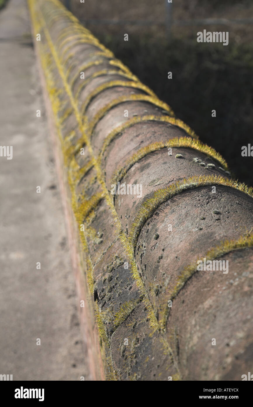 Biological weathering hi-res stock photography and images - Alamy