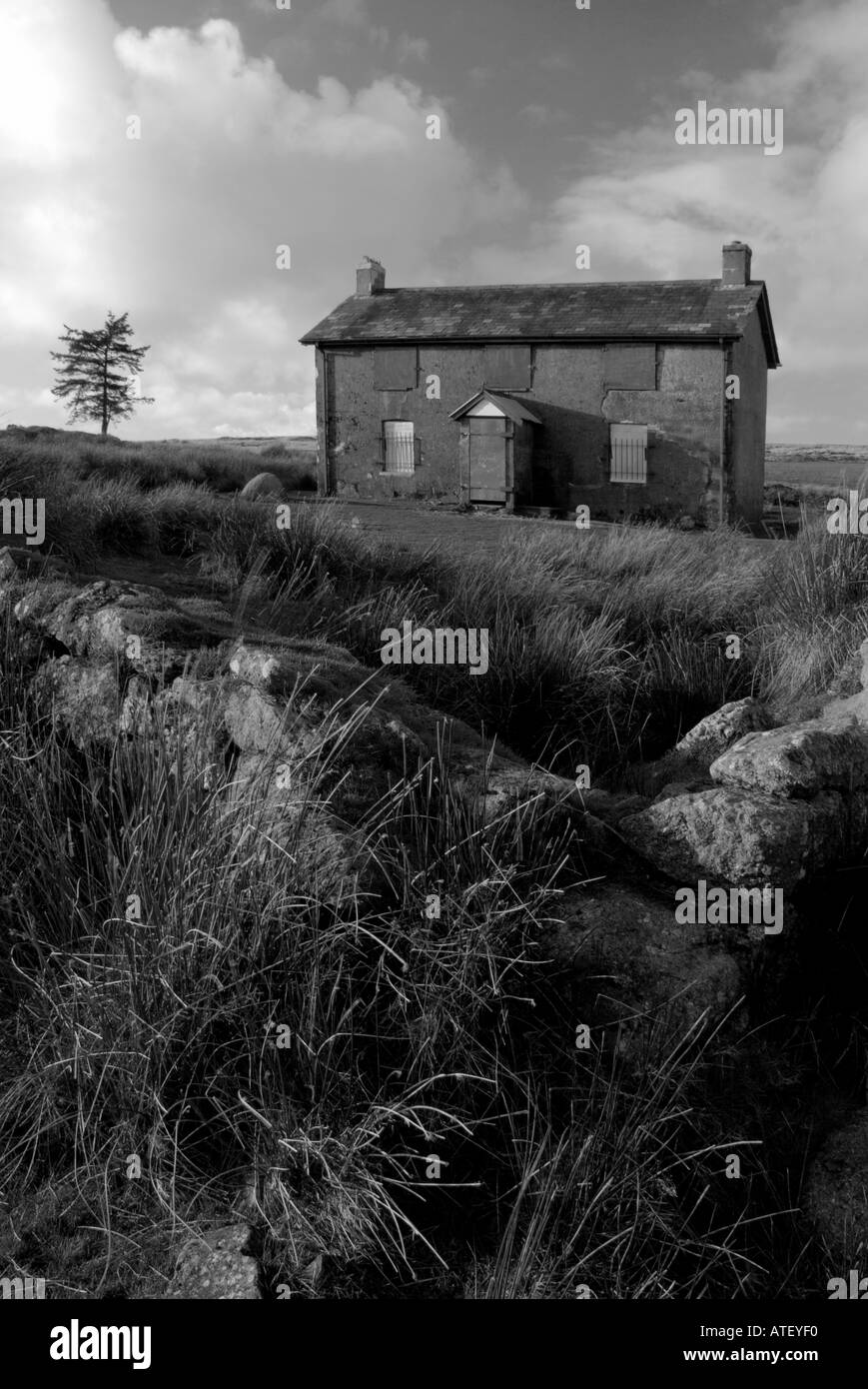 Nuns Cross Farm Dartmoor Devon UK Stock Photo - Alamy