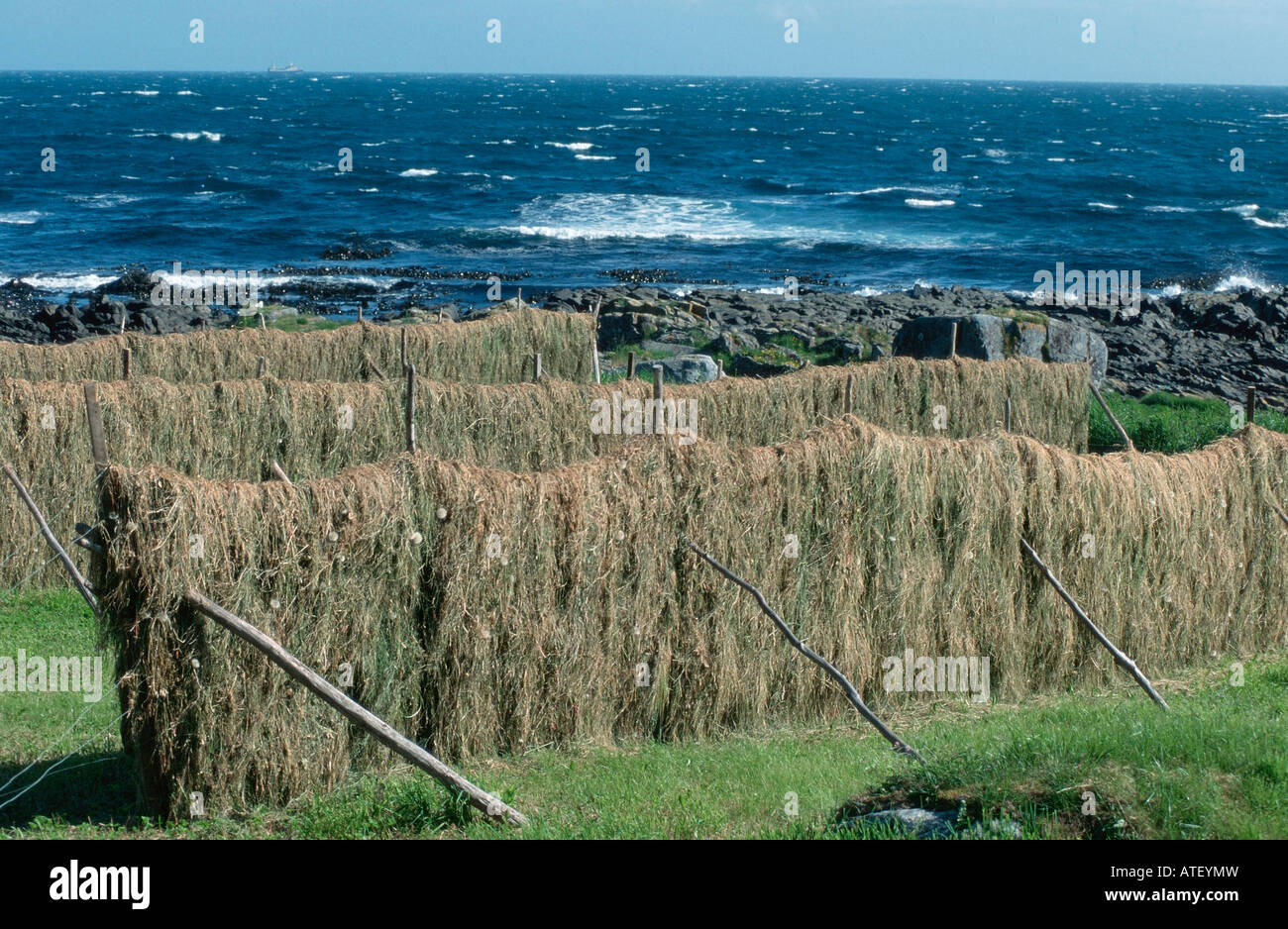 Hay making hi-res stock photography and images - Alamy