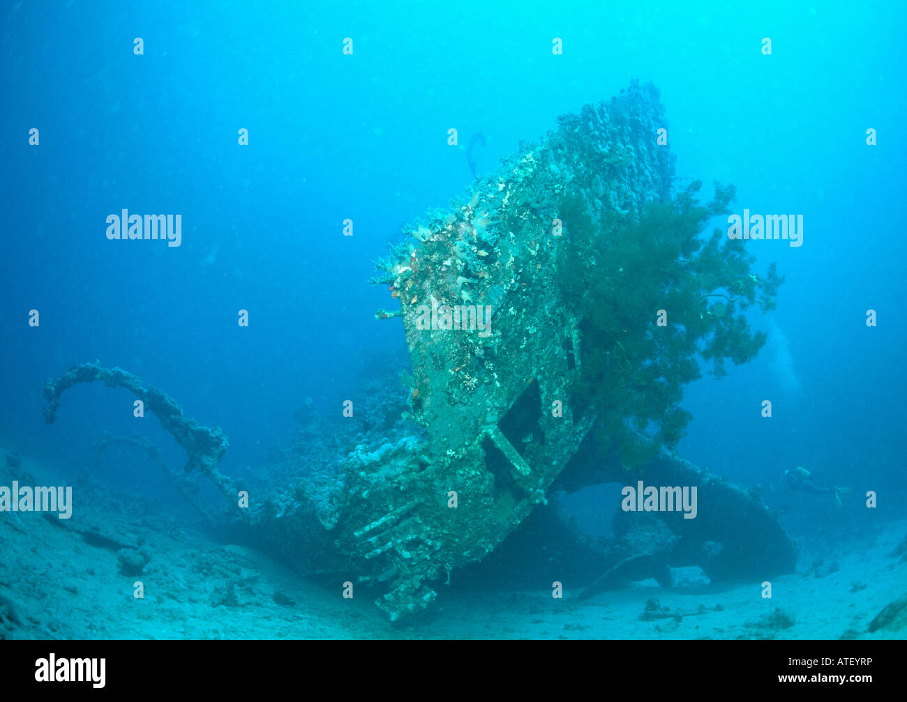 Carnatic wreck hi-res stock photography and images - Alamy