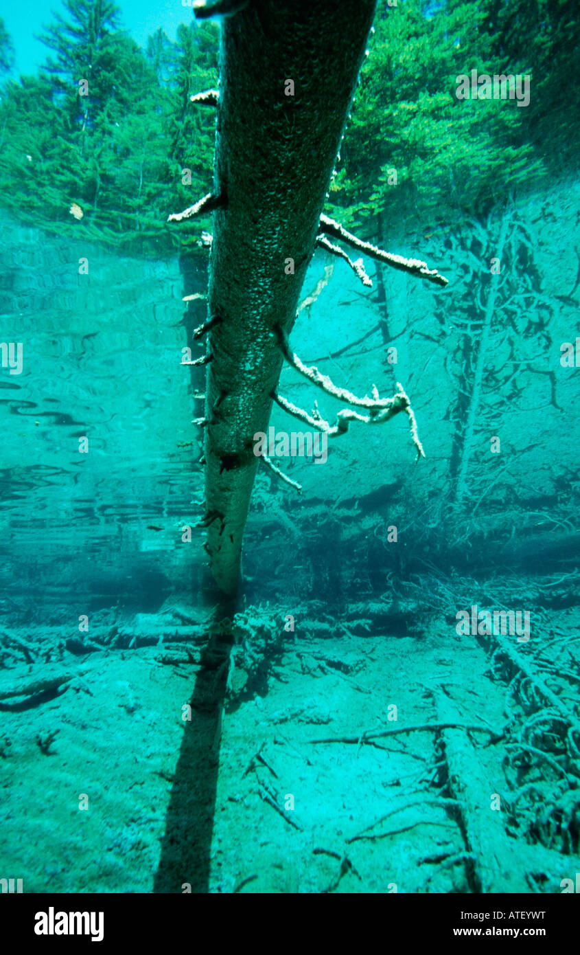 Under water landscape Stock Photo - Alamy