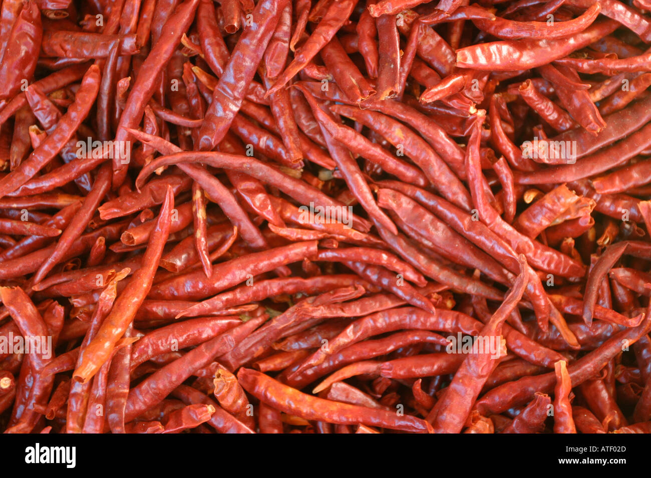 Dried Red chillies Mexico Stock Photo - Alamy