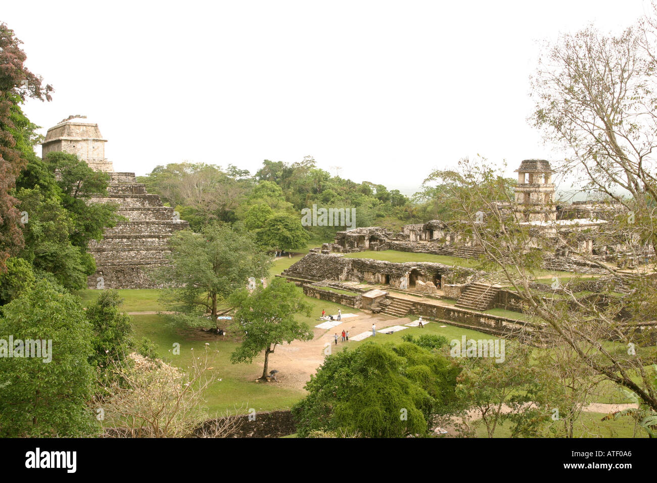 The Mayan ruins at Palenque Stock Photo - Alamy