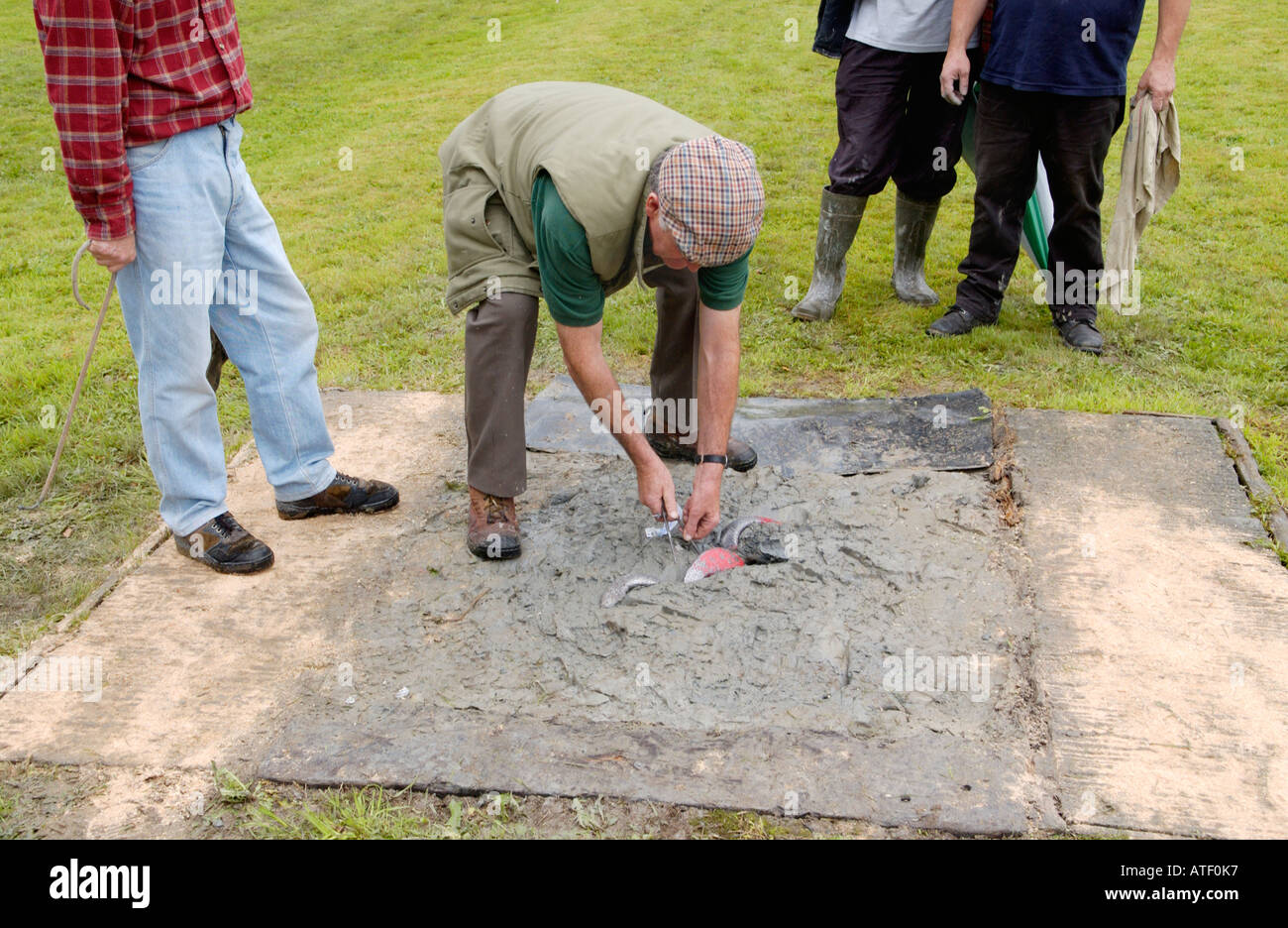 Metal rope or rubber quoits hi-res stock photography and images - Alamy