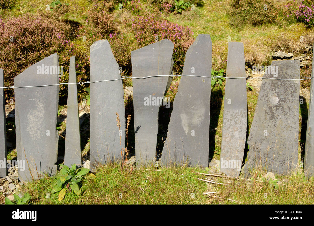 Corris gwynedd north wales hi-res stock photography and images - Alamy