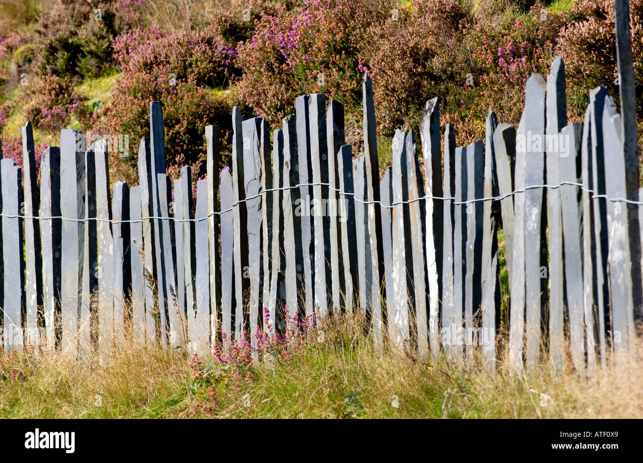 Traditional slate fence of the district on farmland at Aberllefenni ...