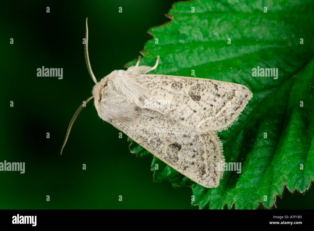 Quaker History High Resolution Stock Photography and Images - Alamy