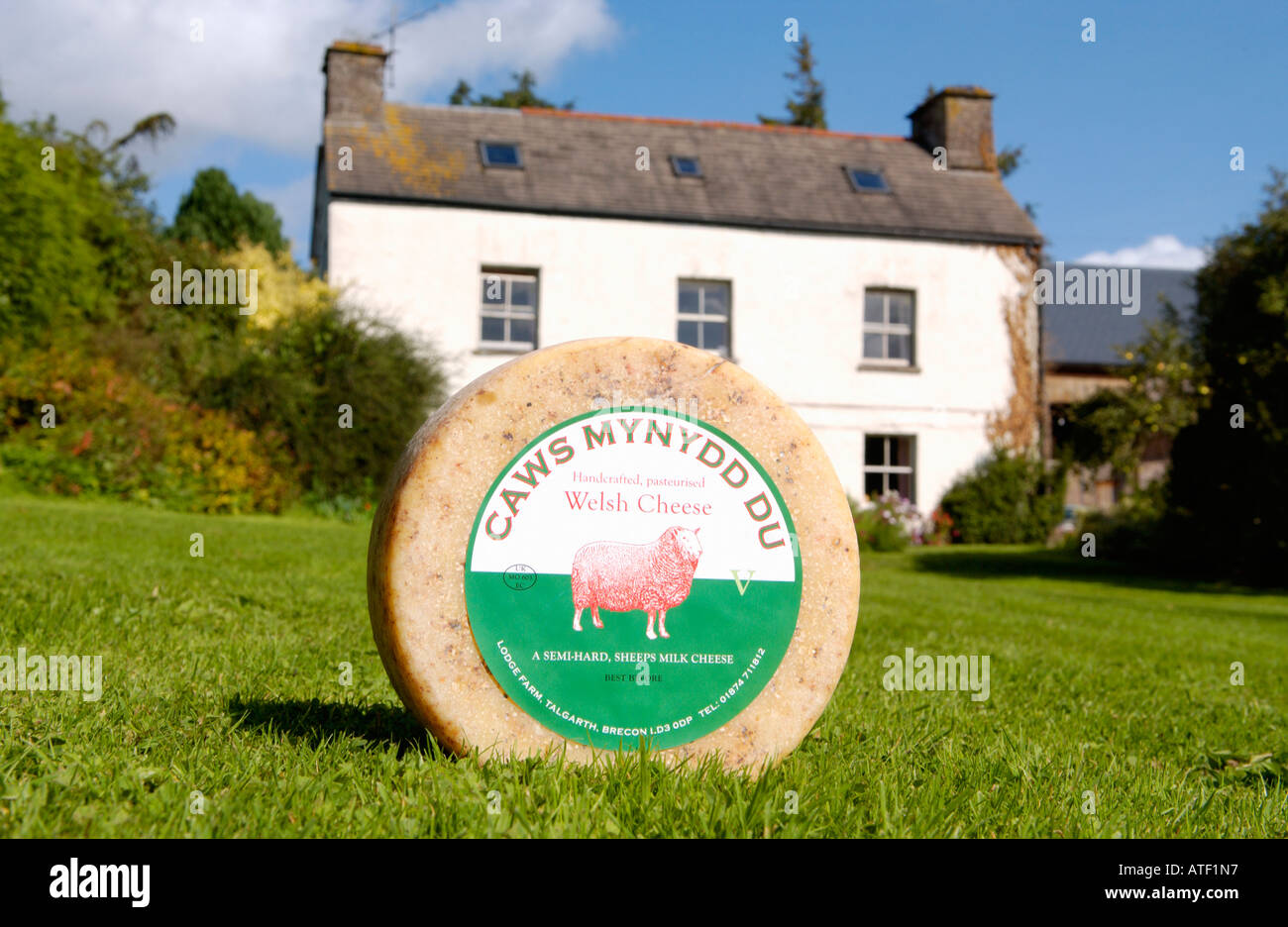 Summertimeseason hi-res stock photography and images - Alamy