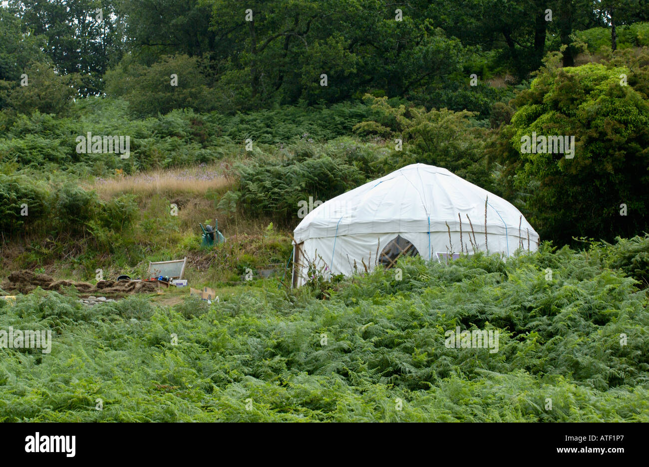 Yurt at Tipi Valley Cwmdu near Talley Carmarthenshire West Wales UK GB ...