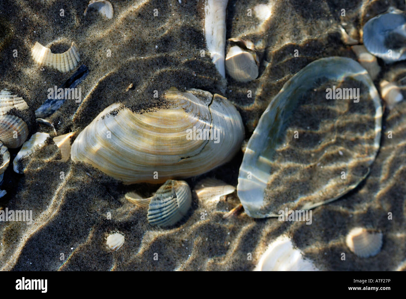 Sand bars underwater hi-res stock photography and images - Alamy
