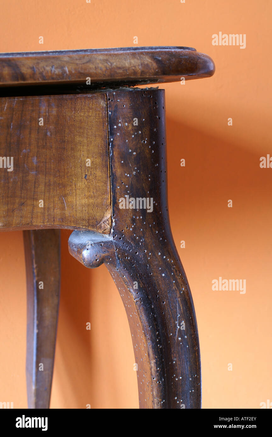 Wood worm in ancient table Stock Photo - Alamy