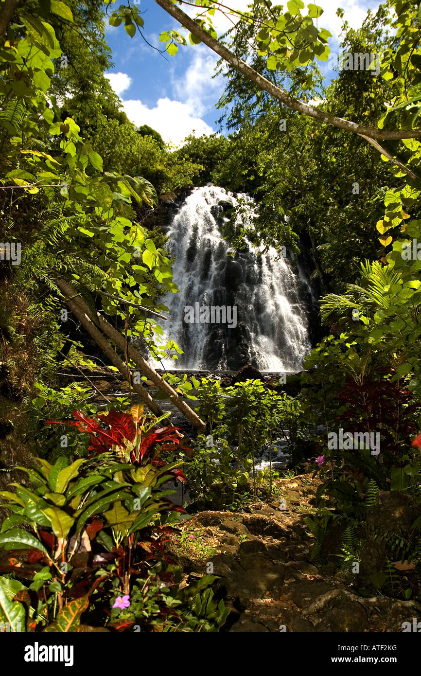 Water fall Pohnpei, Micronesia, nature, landscape, awesome, wild ...