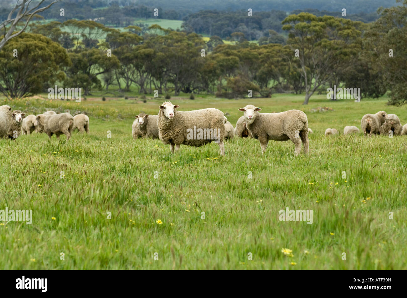 Roxanna hi-res stock photography and images - Alamy