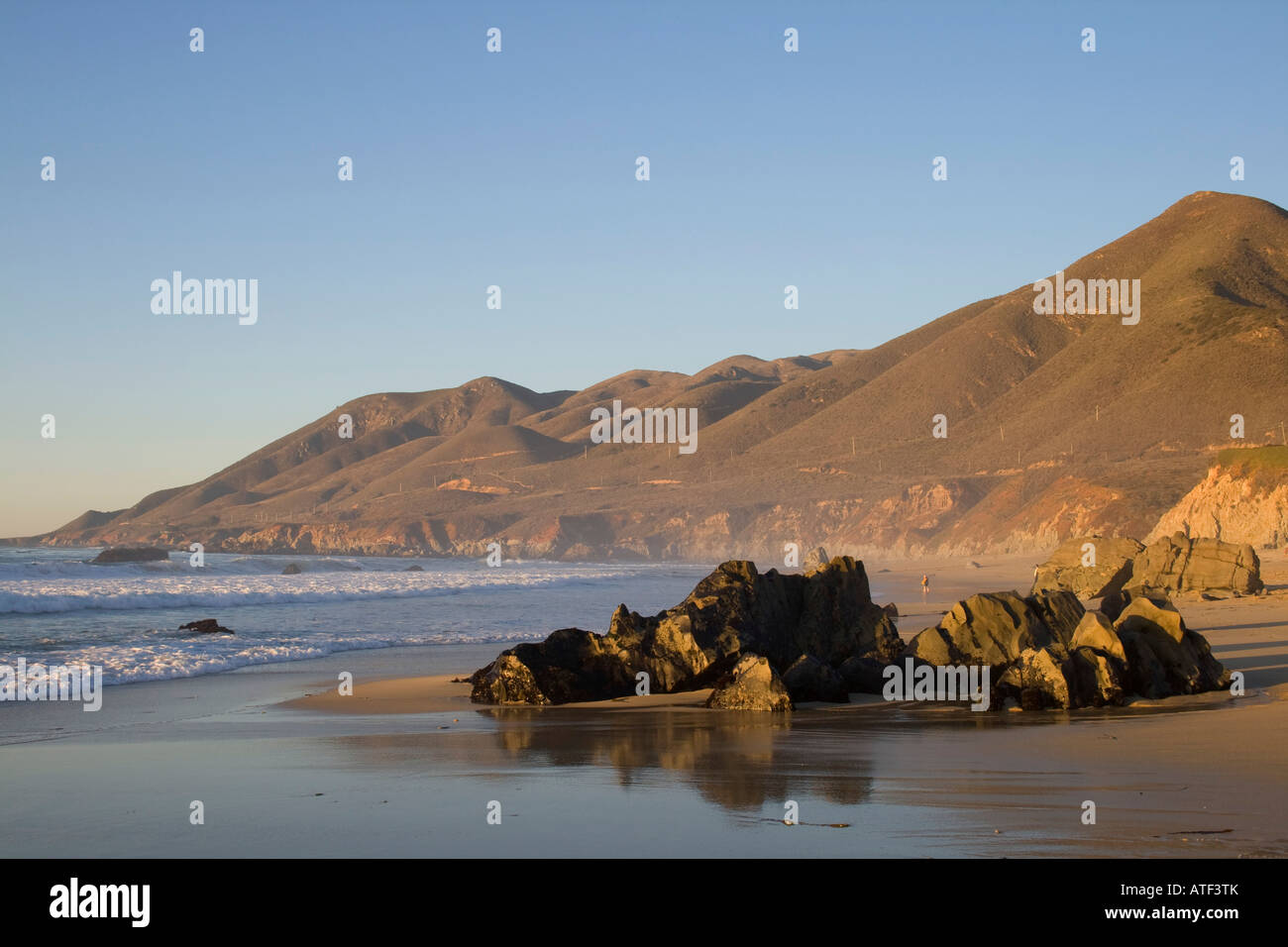 Garrapata sp hi-res stock photography and images - Alamy
