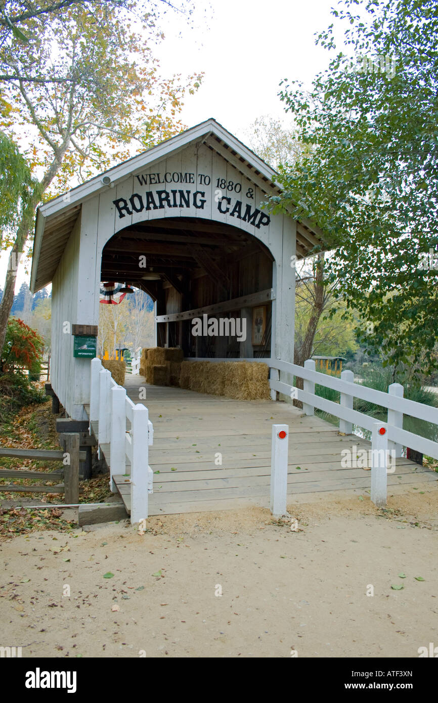 Roaring Camp Train Vip