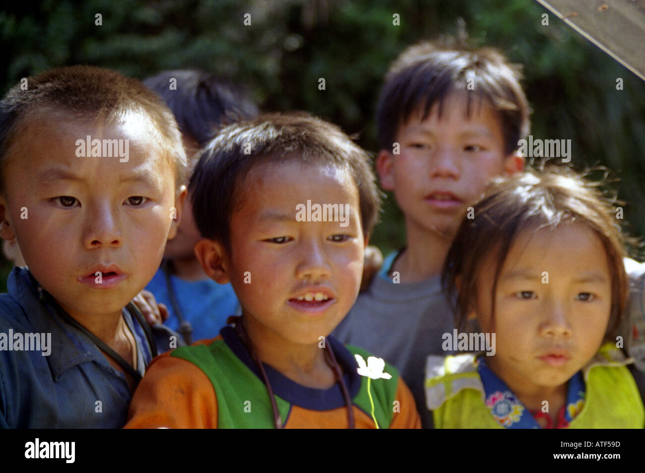 Portrait group colourful indigenous children boy girl watch look happy ...