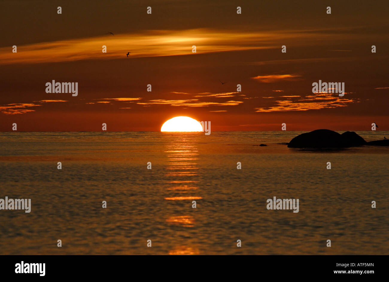 Shimmering finish hi-res stock photography and images - Alamy