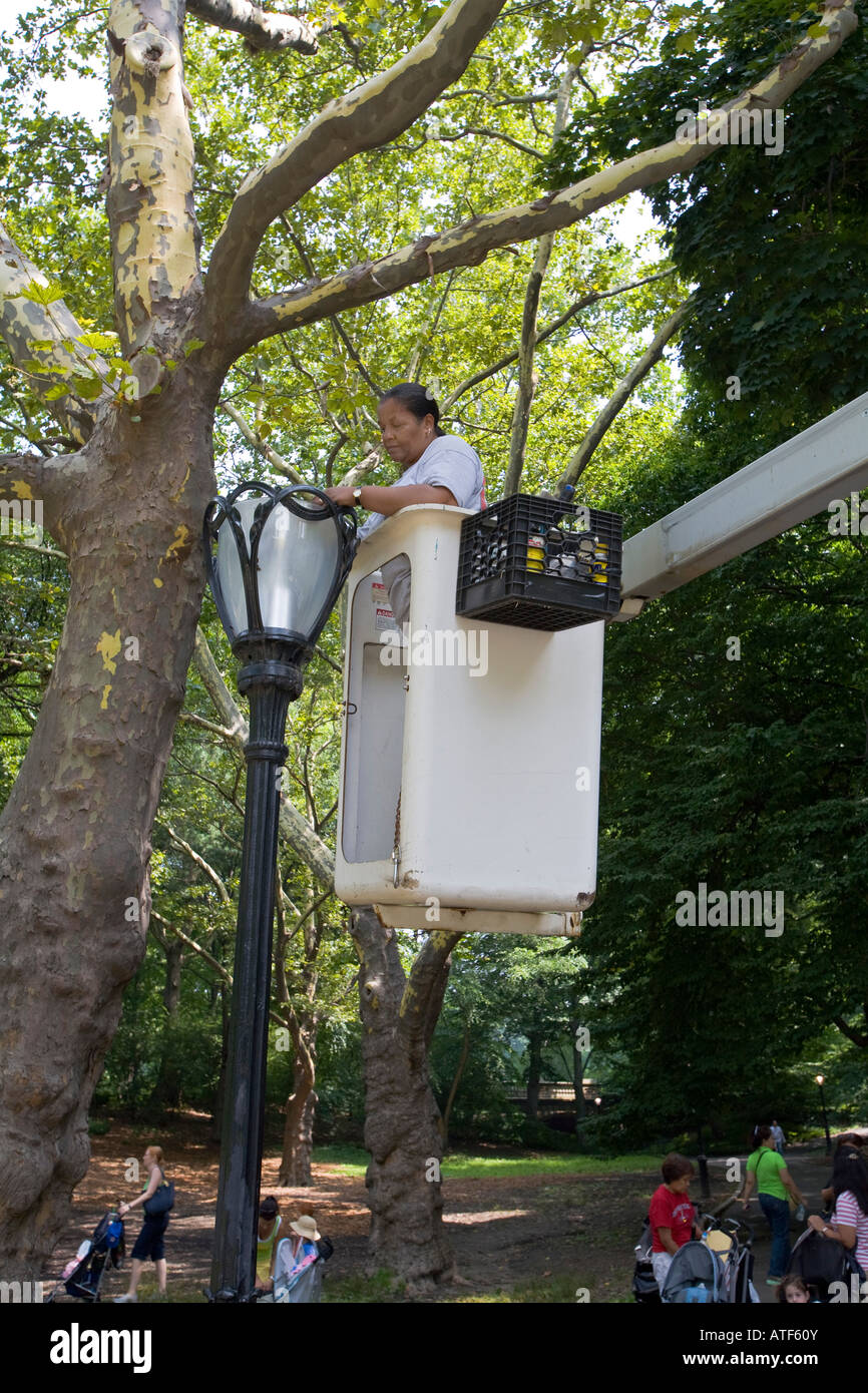 Central park light posts hi-res stock photography and images - Alamy