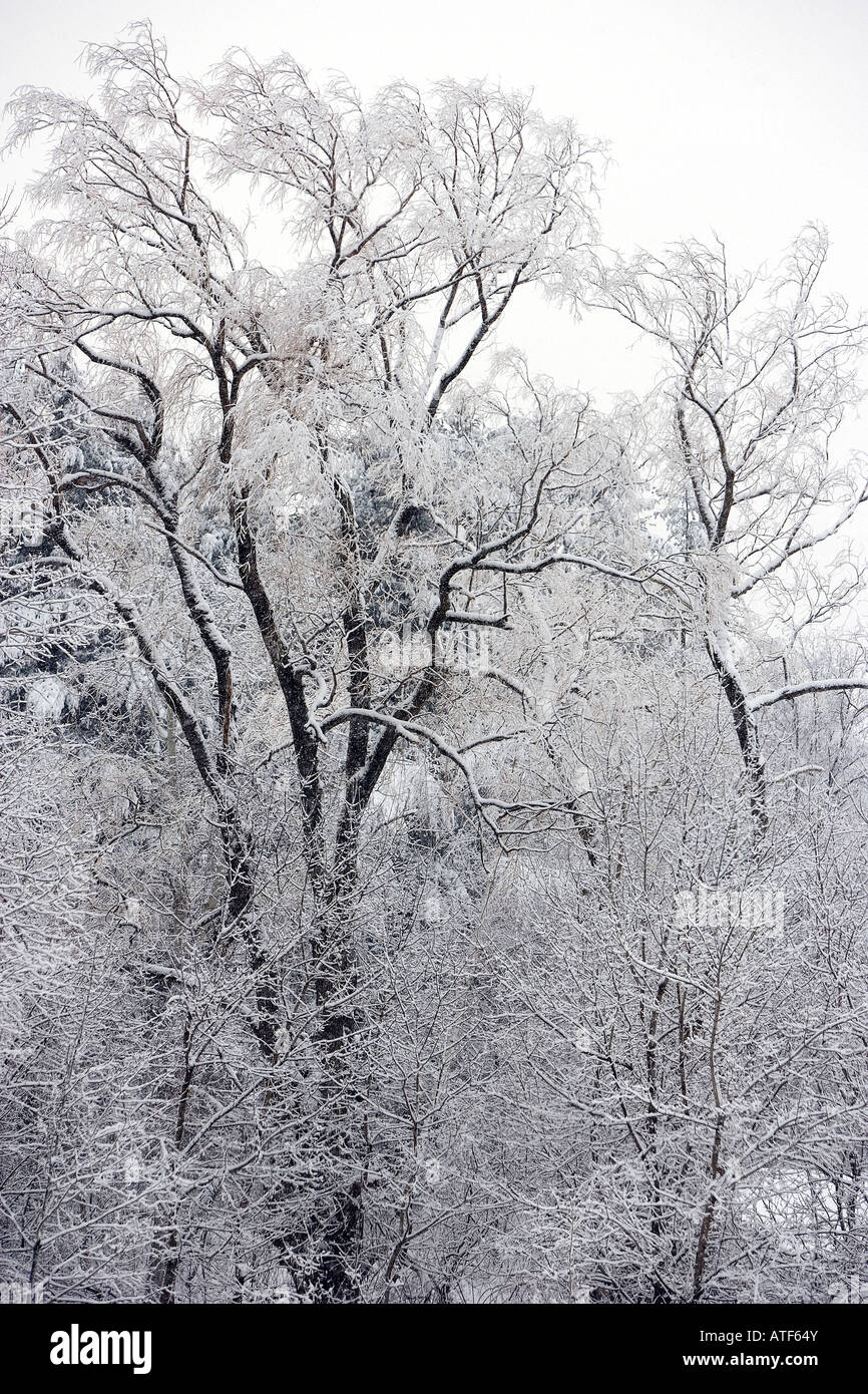 Vermont winter snowfall scene Stock Photo - Alamy