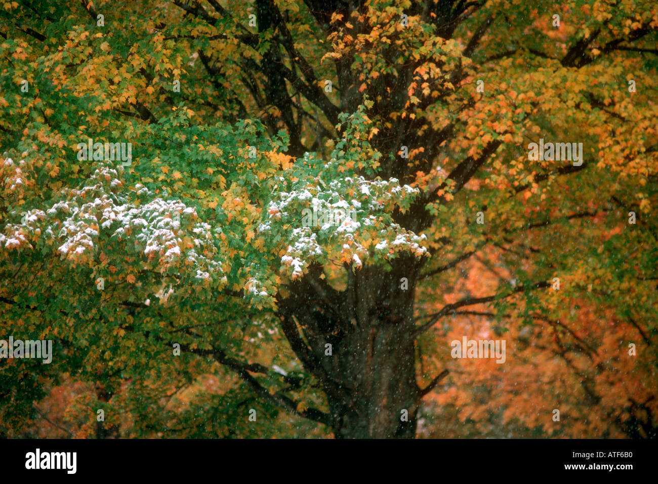 Burlington vermont fall hi-res stock photography and images - Alamy