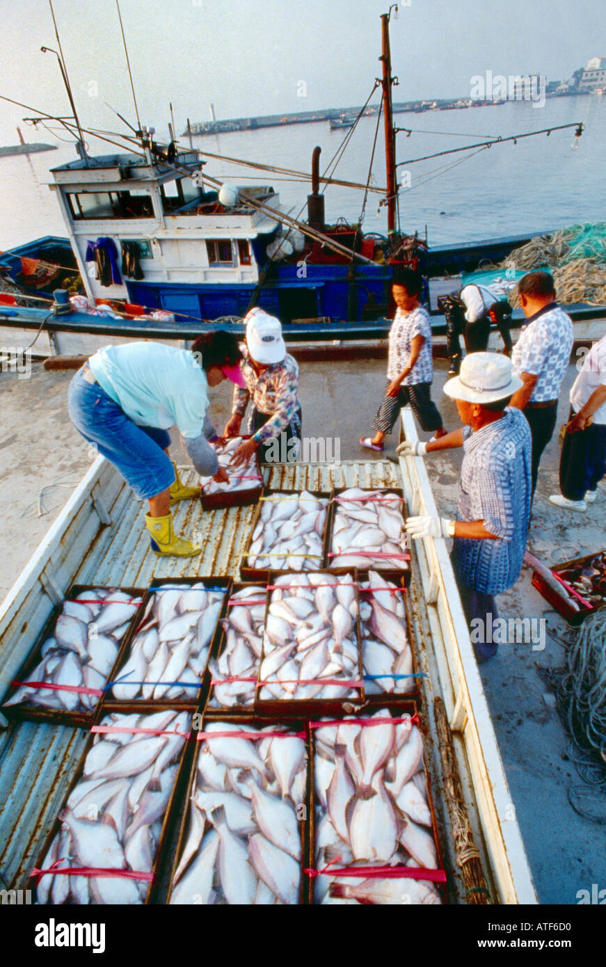 Kampo High Resolution Stock Photography and Images - Alamy