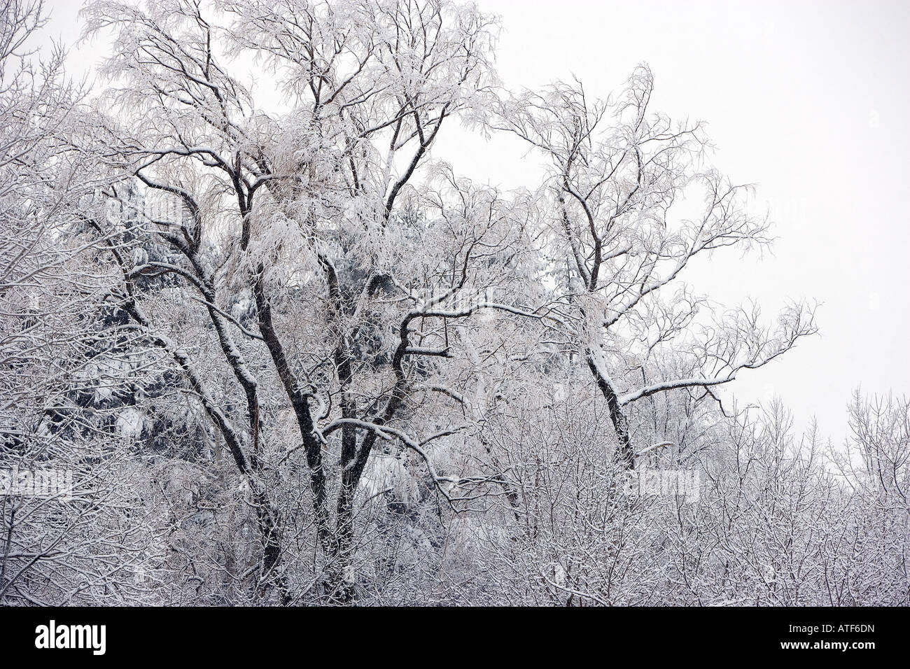 Vermont winter snowfall scene Stock Photo - Alamy