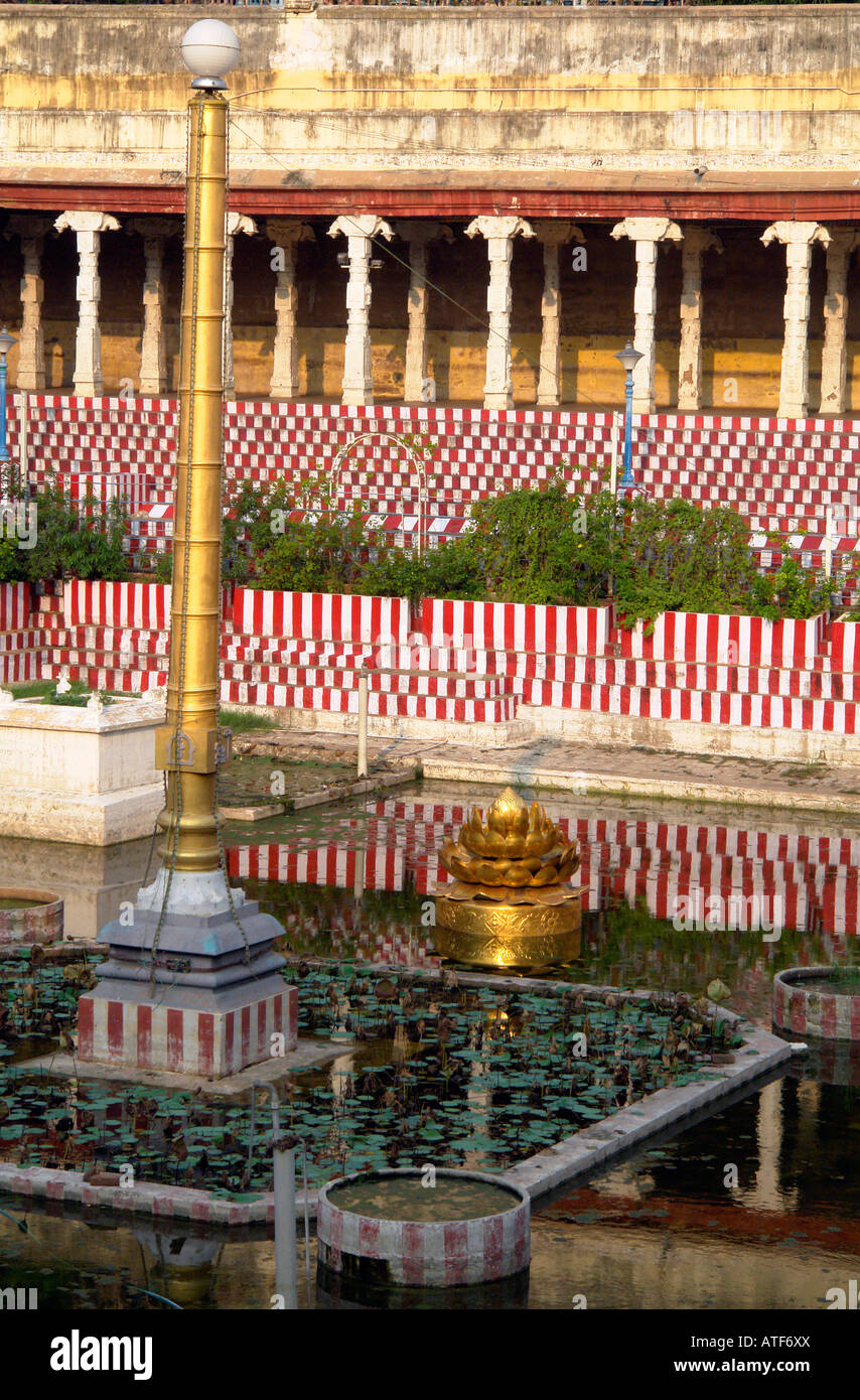 Golden lotus tank hi-res stock photography and images - Alamy