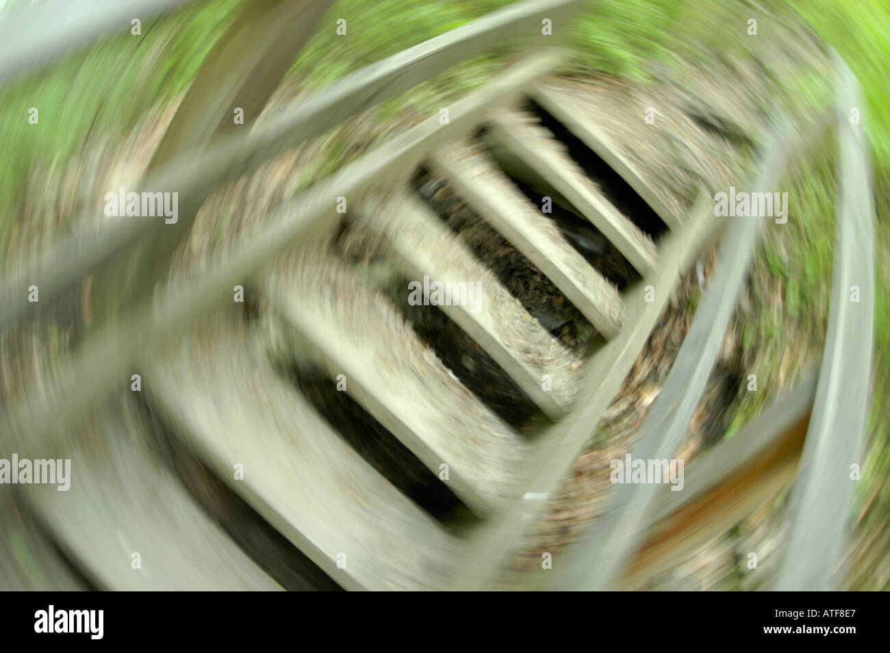 national park Thaya valley, wooden stair, hiking trail Stock Photo - Alamy