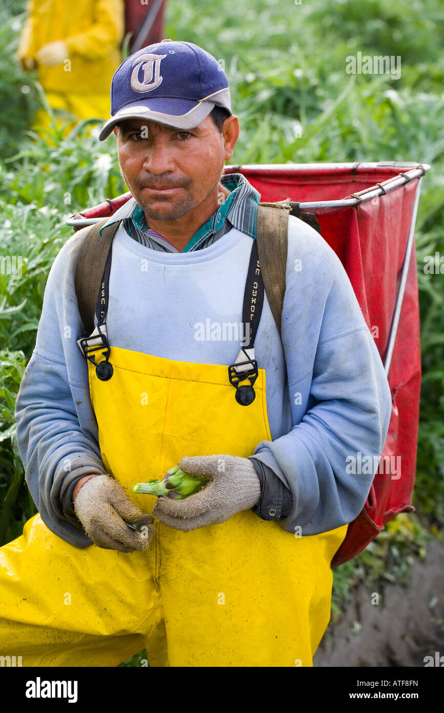 Mexican field worker hi-res stock photography and images - Alamy