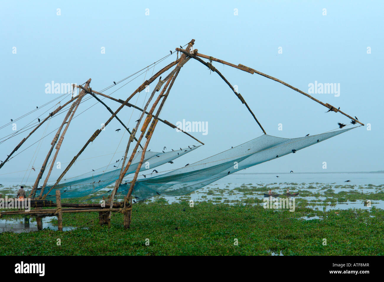 at the chinese fishing nets kochi india Stock Photo - Alamy