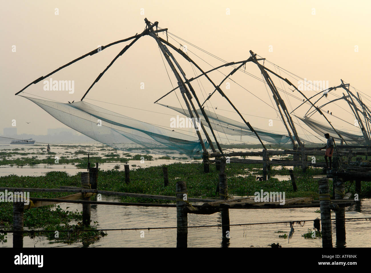 traditional chinese fishing nets at kochi india by dawn light Stock ...