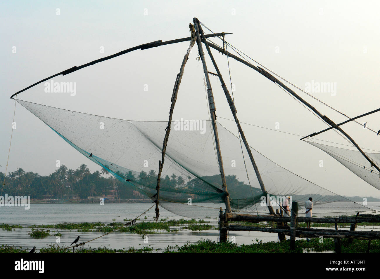 at the chinese fishing nets kochi Stock Photo - Alamy